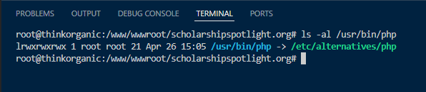 Composer Update Fails Php Extensions Required Aapanel Free Hosting Control Panel One Click
