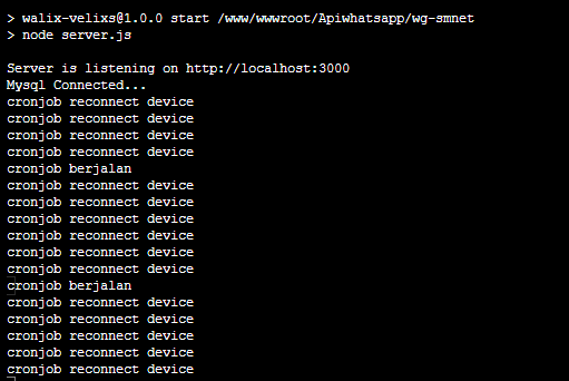 Nodejs Not Working Whatsapp Gateway Aapanel Free Hosting Control