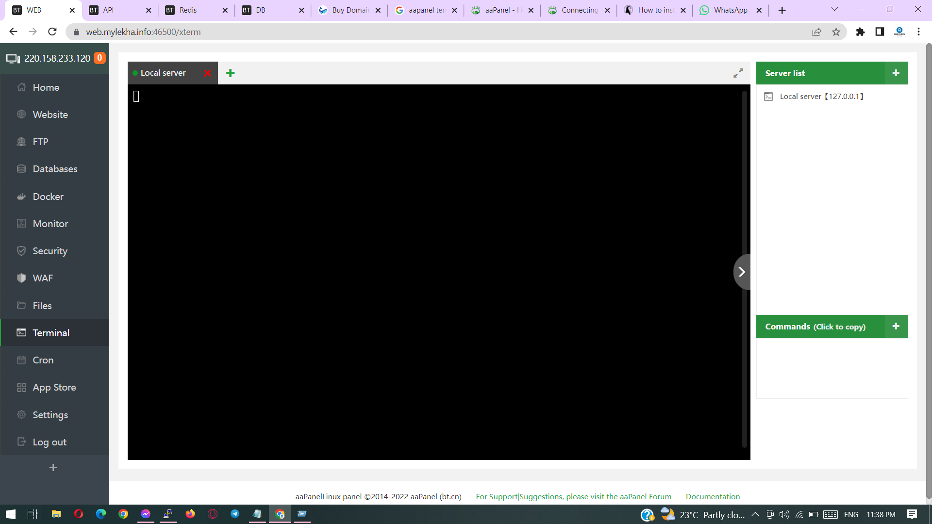 terminal problem - aaPanel - Free Hosting control panel. One-click LAMP/LEMP.
