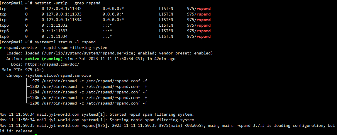 Rspamd Service is Running , but Rspamd display stop on the aaPanel ...