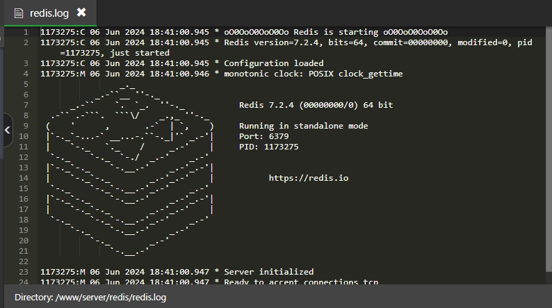 Redis password not setting correctly - aaPanel - Free Hosting control panel. One-click LAMP/LEMP.